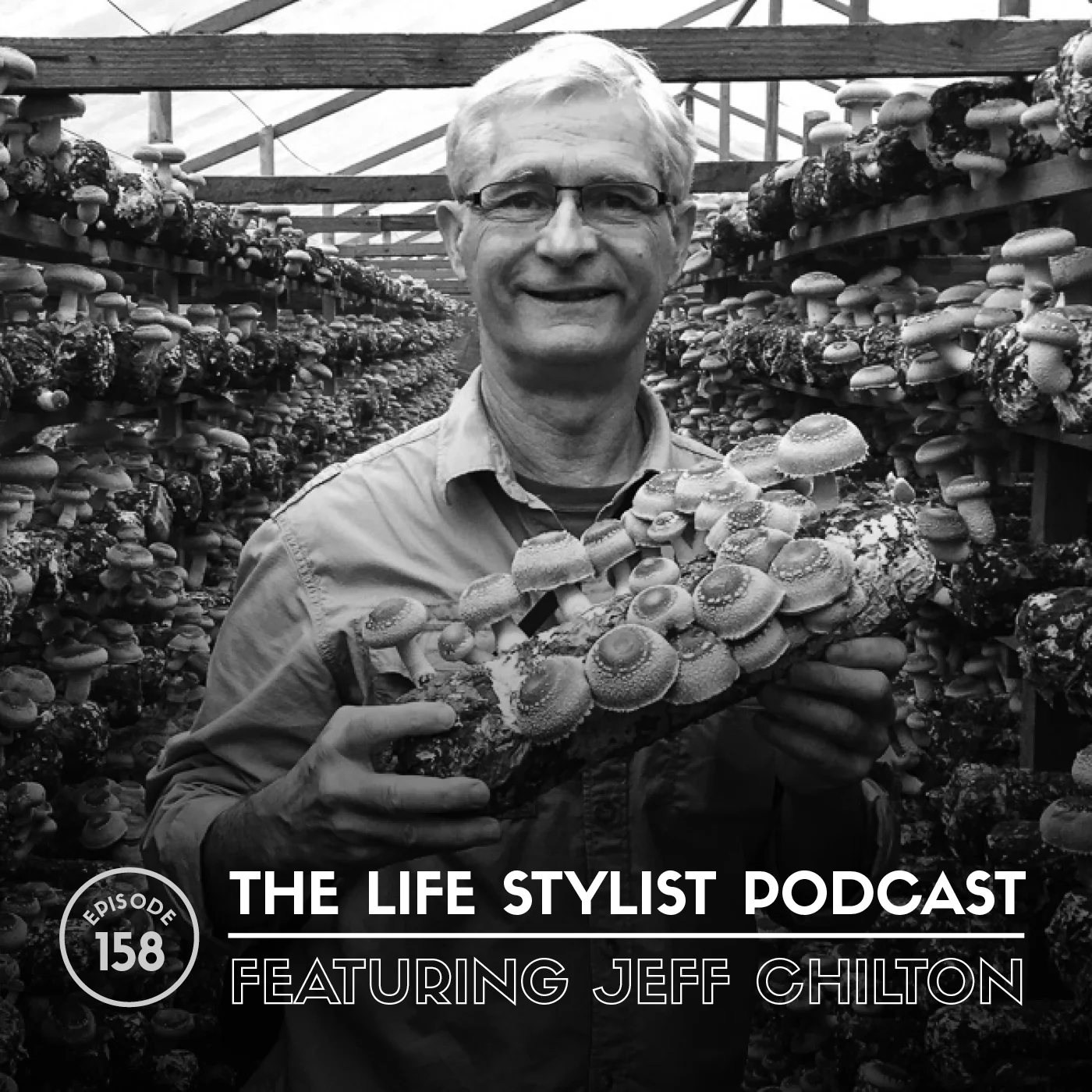 MUSHROOM MAGIC: NATURE'S BEST MEDICINE FOR YOUR BRAIN & BEYOND WITH ...