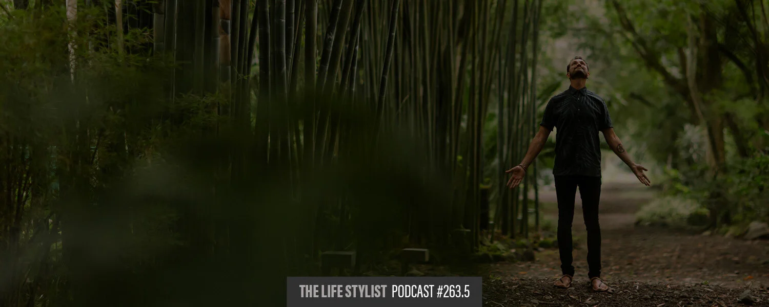 Choosing Your Ayahuasca Adventure: Rythmia & Soltara Side-By-Side ...