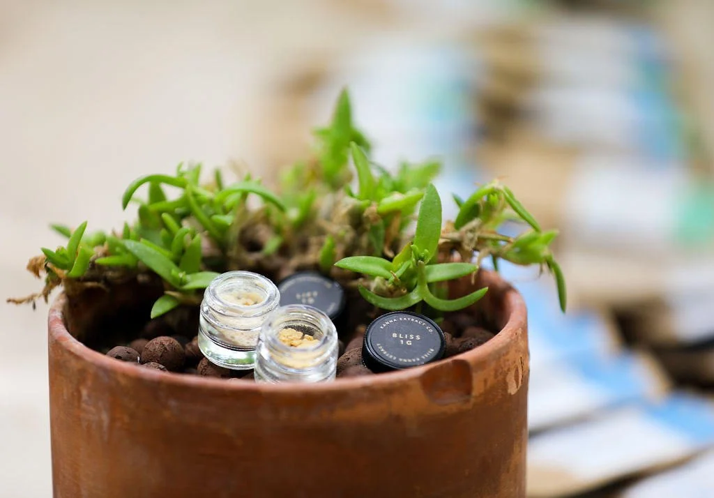 Pure Kanna Extract Powder | Kanna Extract Co. — LUKE STOREY