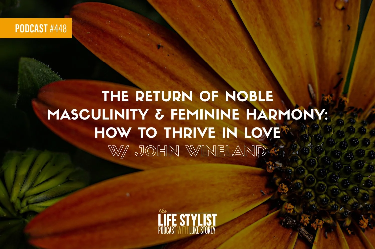The Life Stylist Podcast — LUKE STOREY