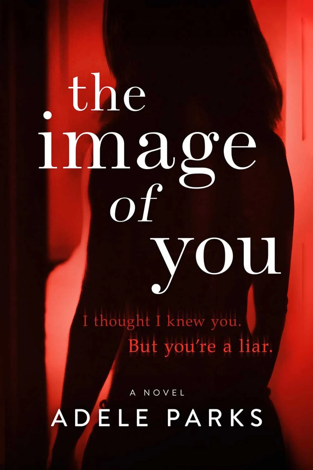 USA Editions of multi-million bestselling author Adele Parks — Adele Parks