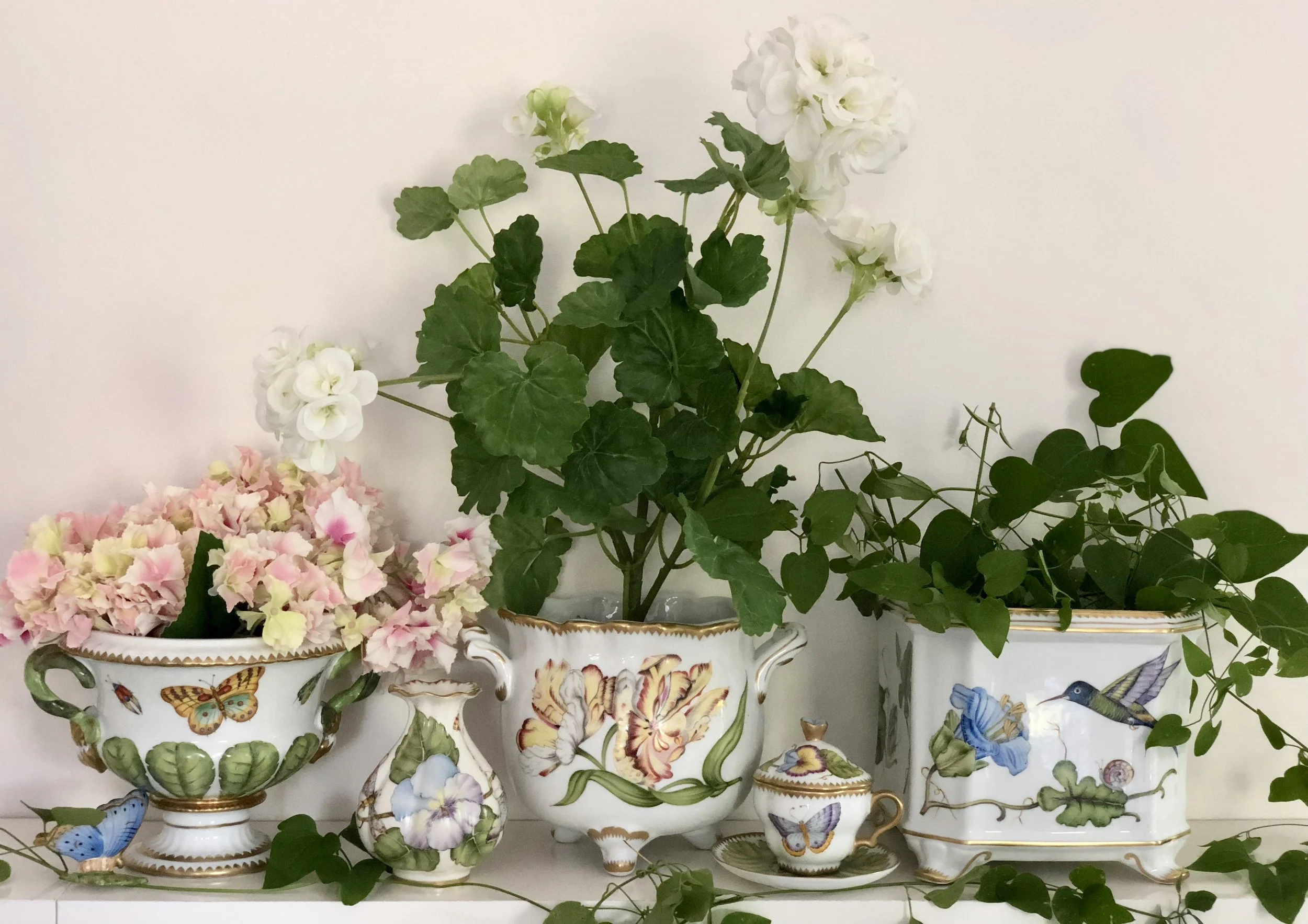 Assorted Gifts Items — Anna Weatherley Designs