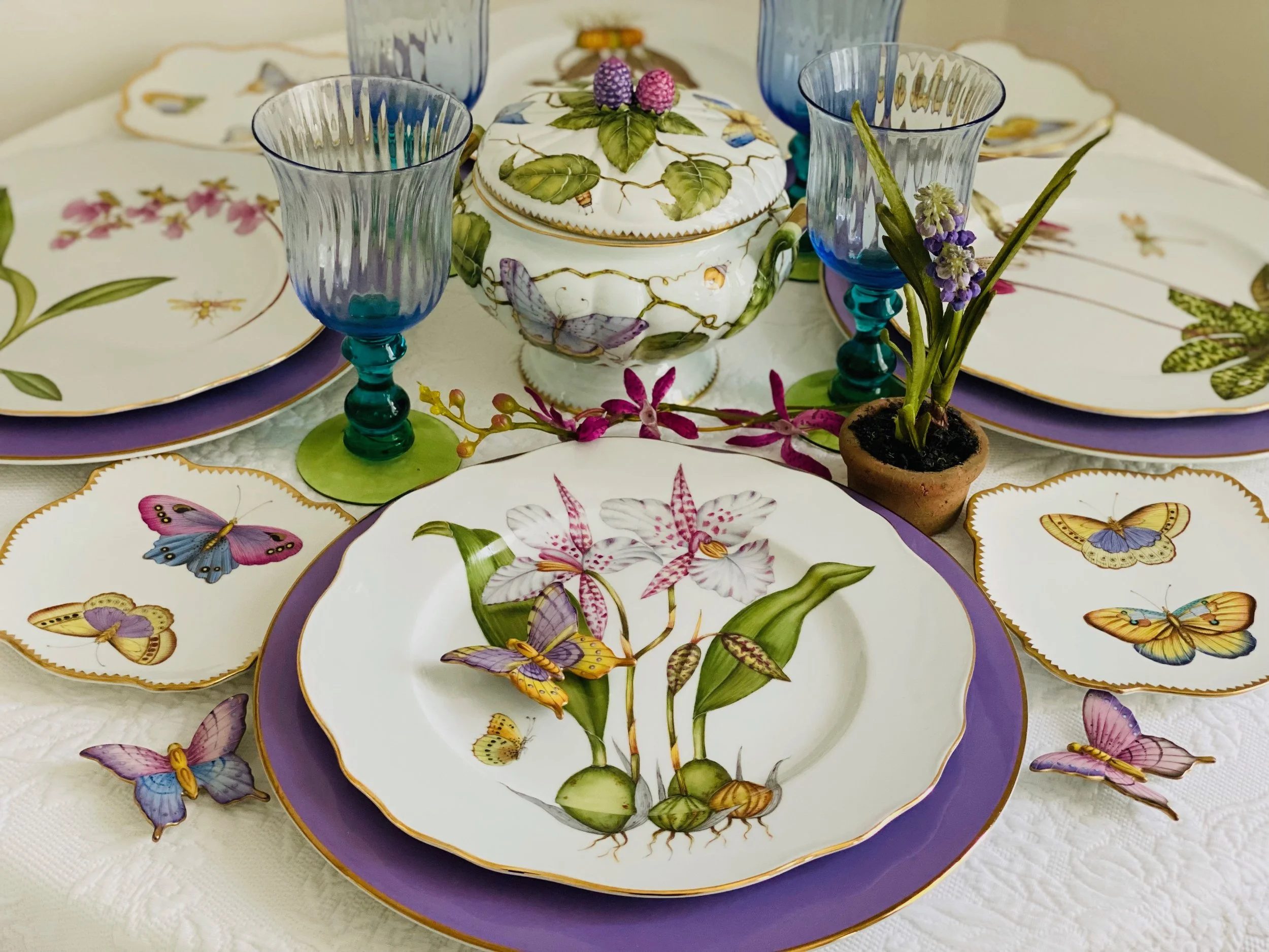 Orchid Collection — Anna Weatherley Designs