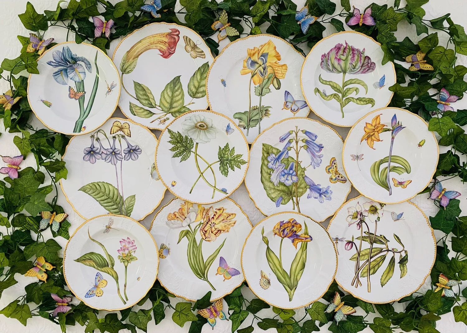 Botanical Art Collection — Anna Weatherley Designs