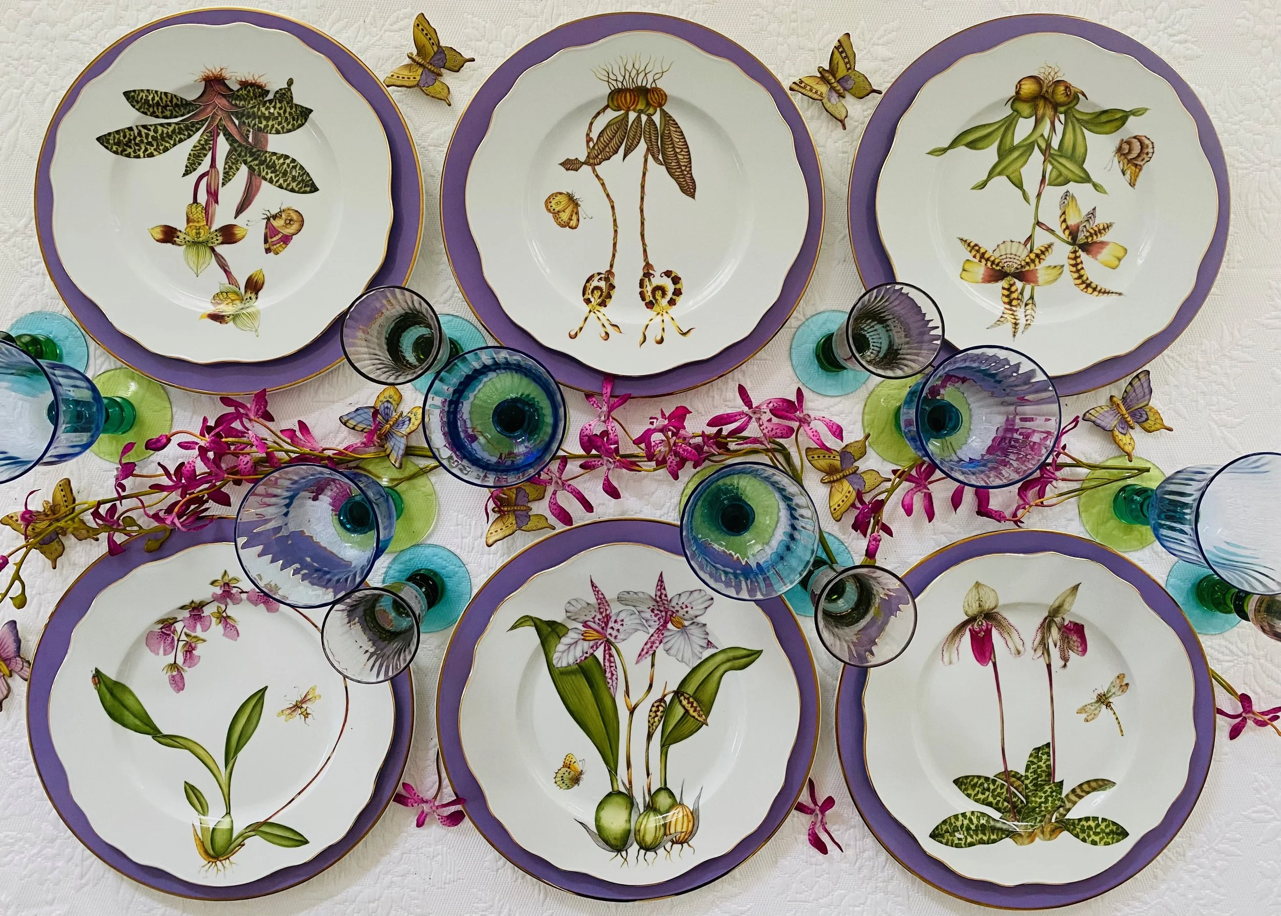 Orchid Collection — Anna Weatherley Designs