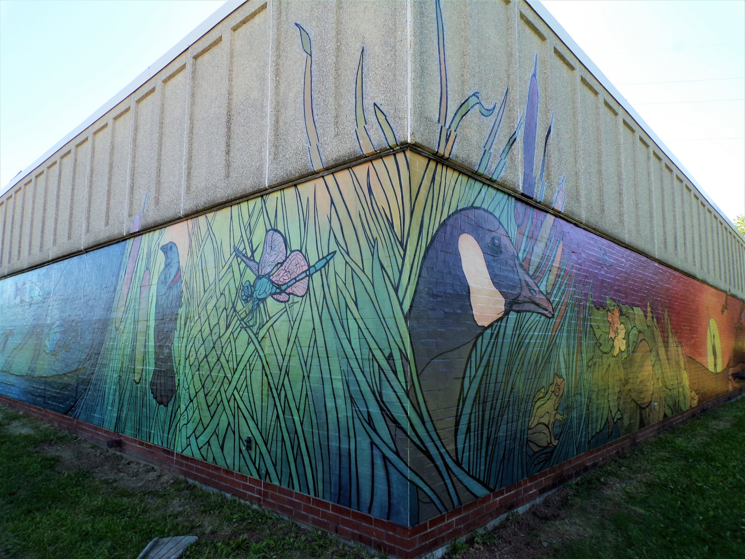 Dane Arts Mural Arts