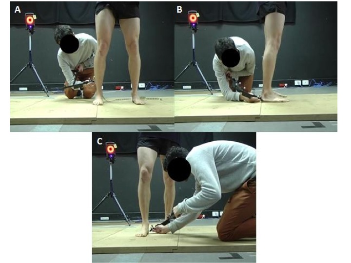 Can We Predict Dynamic Foot Function from Static Physical Therapy Tests ...