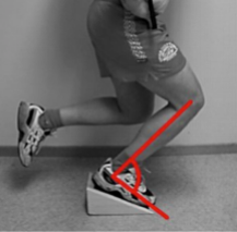 Short or Long Duration Isometrics Equally Effective For Patellar ...