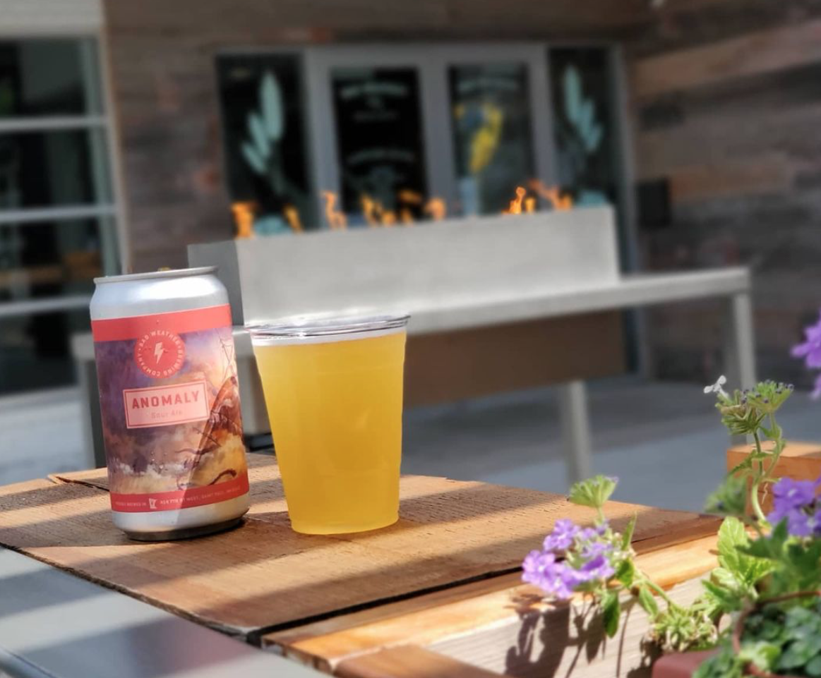 Anomaly Sour Ale — Bad Weather Brewing Company