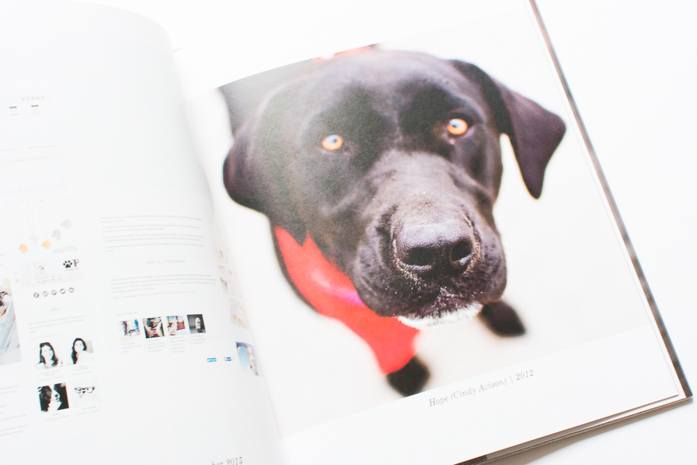 Blurb Photo Book | Documenting the Story of a Photography Business ...