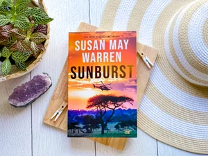 A Christian Fiction Must-Read from Susan May Warren! Check Out My Book ...