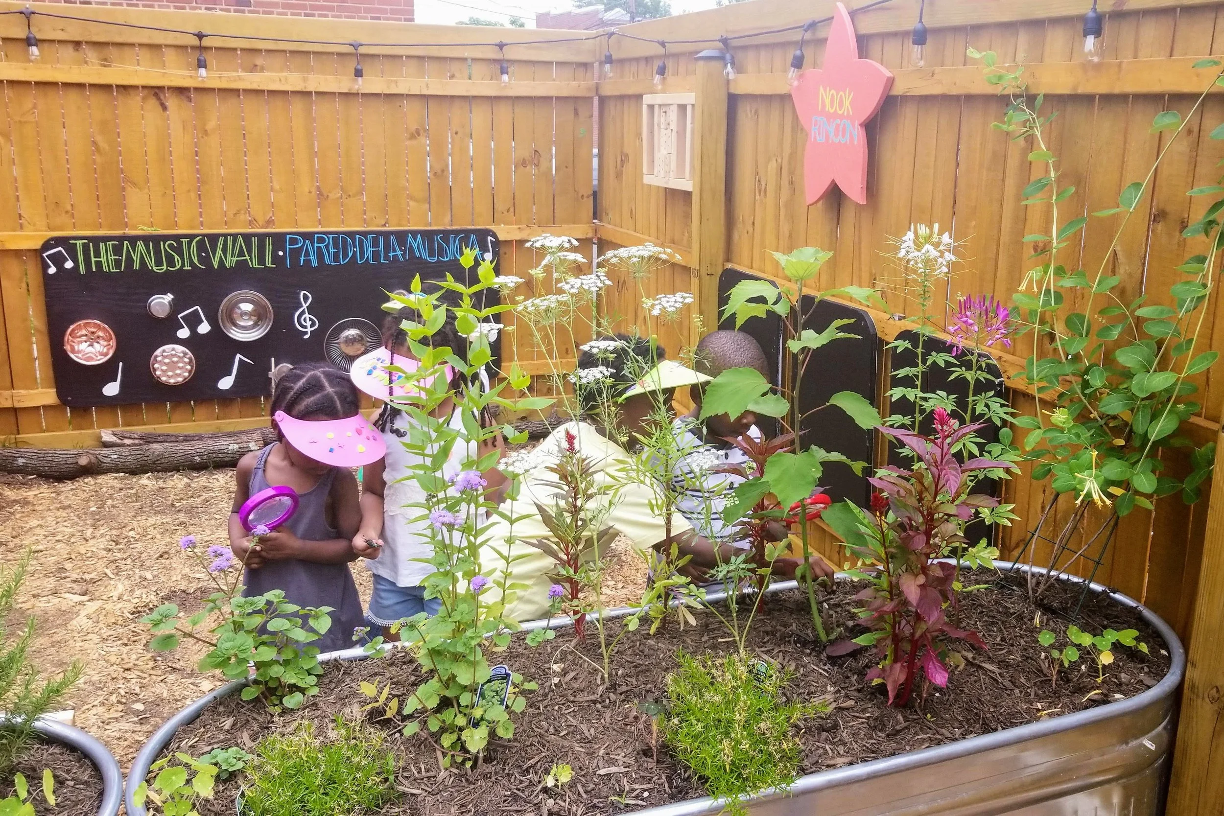 Early Growers — City Blossoms