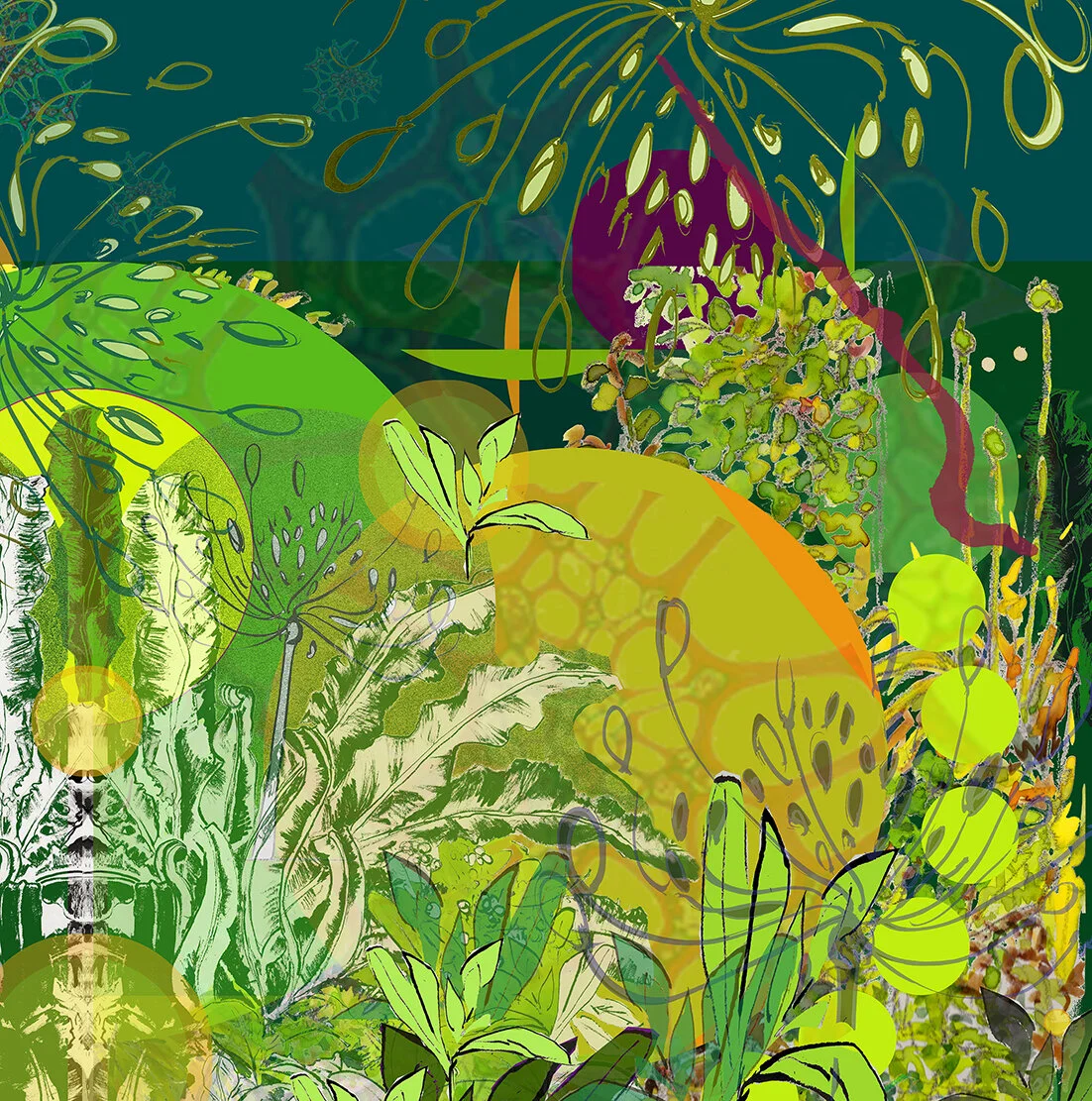 Practitioner Focus: Sue Clegg — Sketchbook Circle
