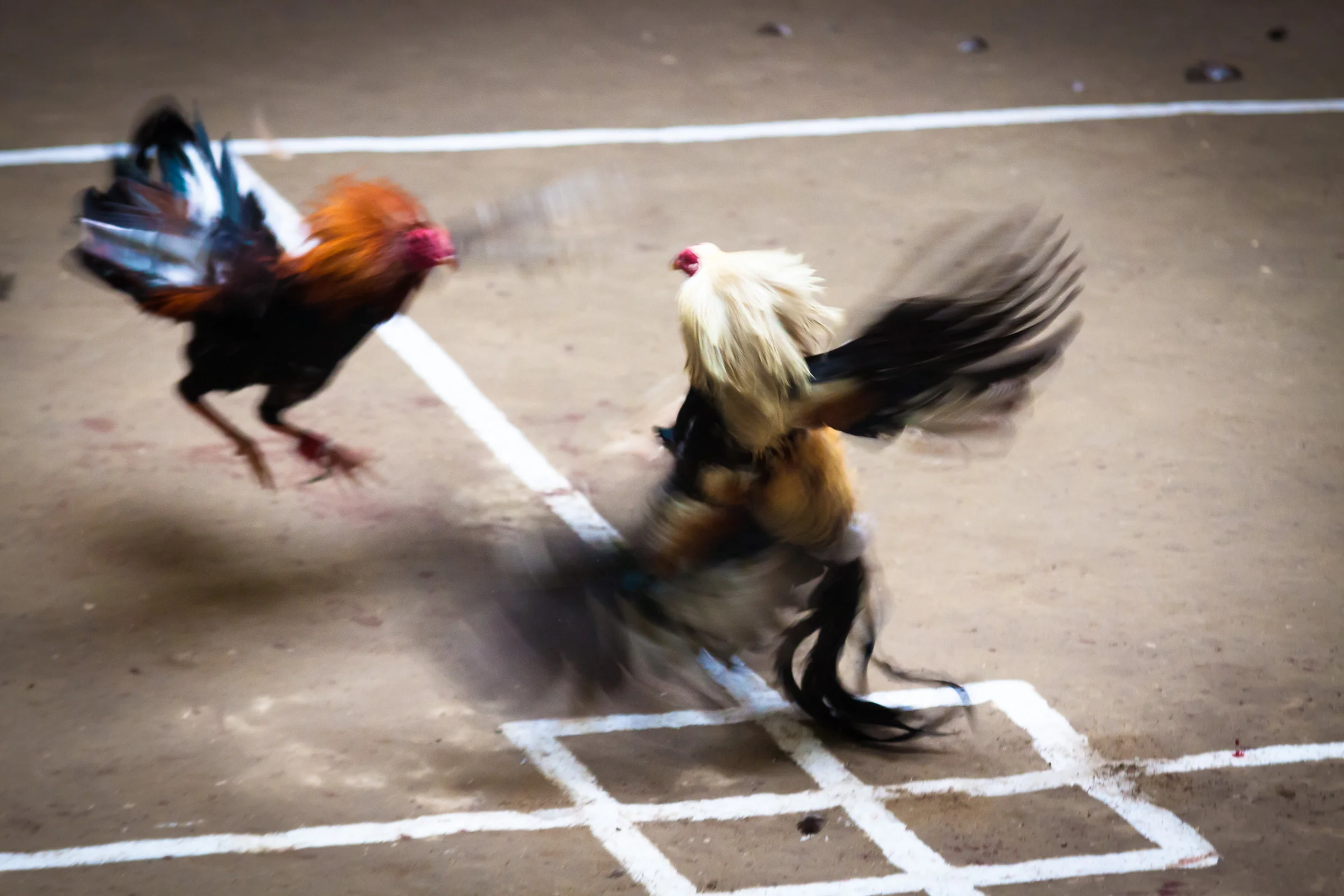 Resumen — Chema Artero Fotógrafo