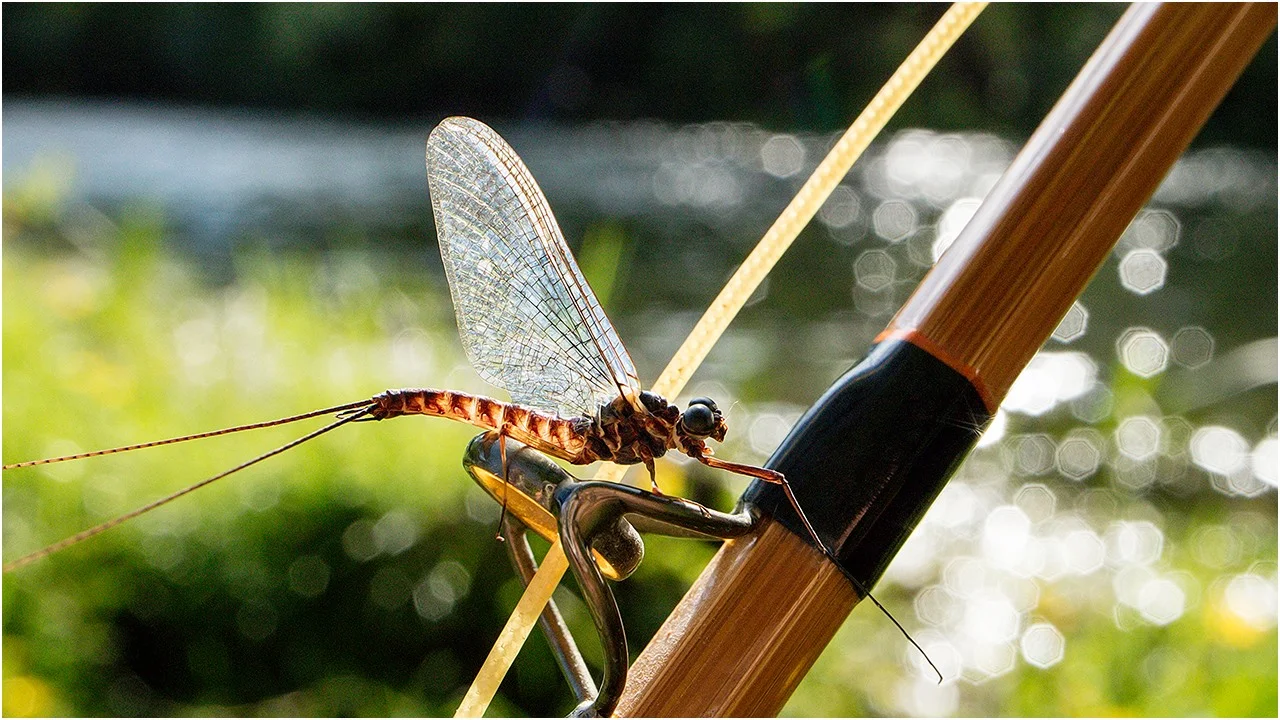 Tufts & Batson Bamboo Fly Rods
