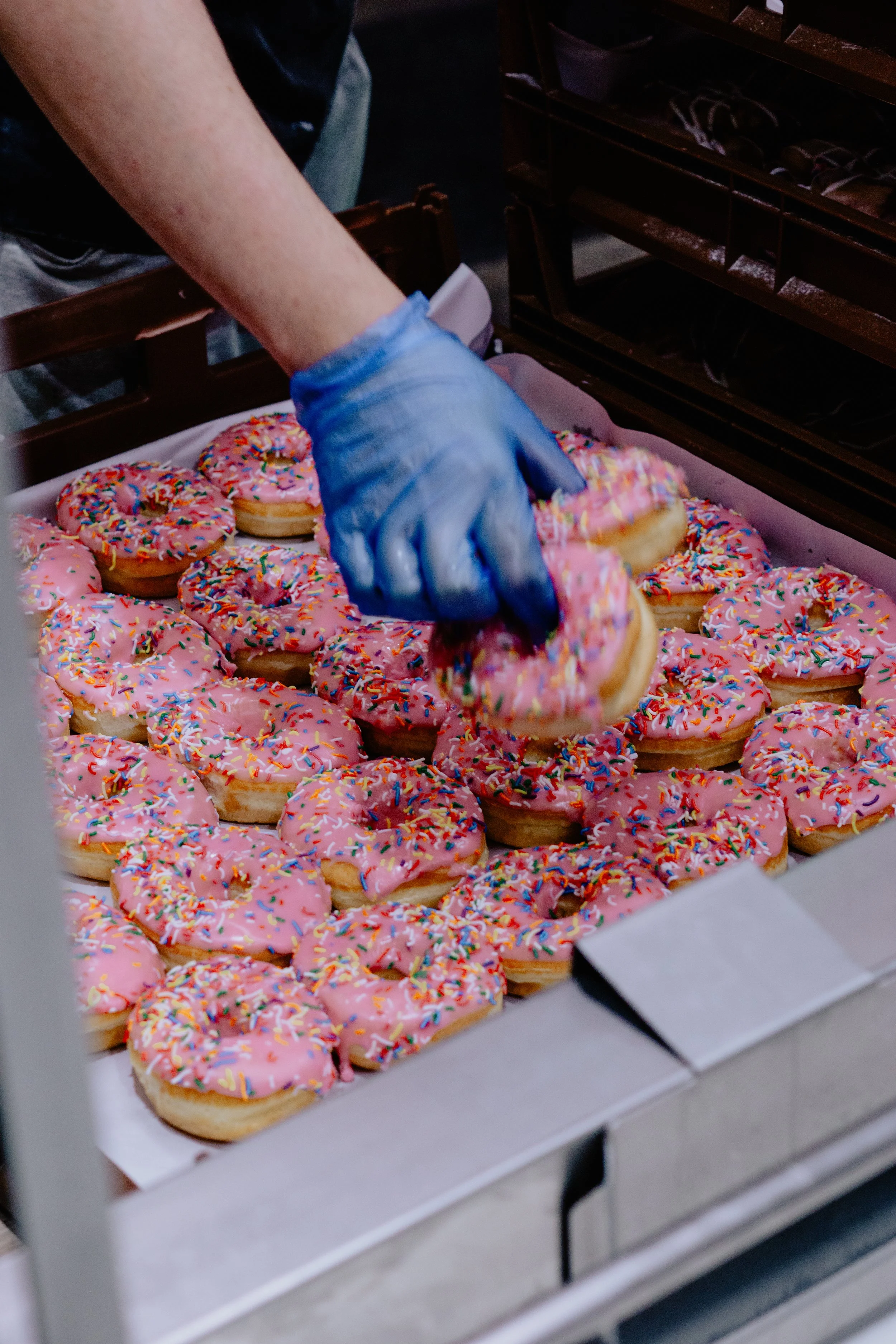 Grumpy Donuts - Deep Fried 'Till We Die