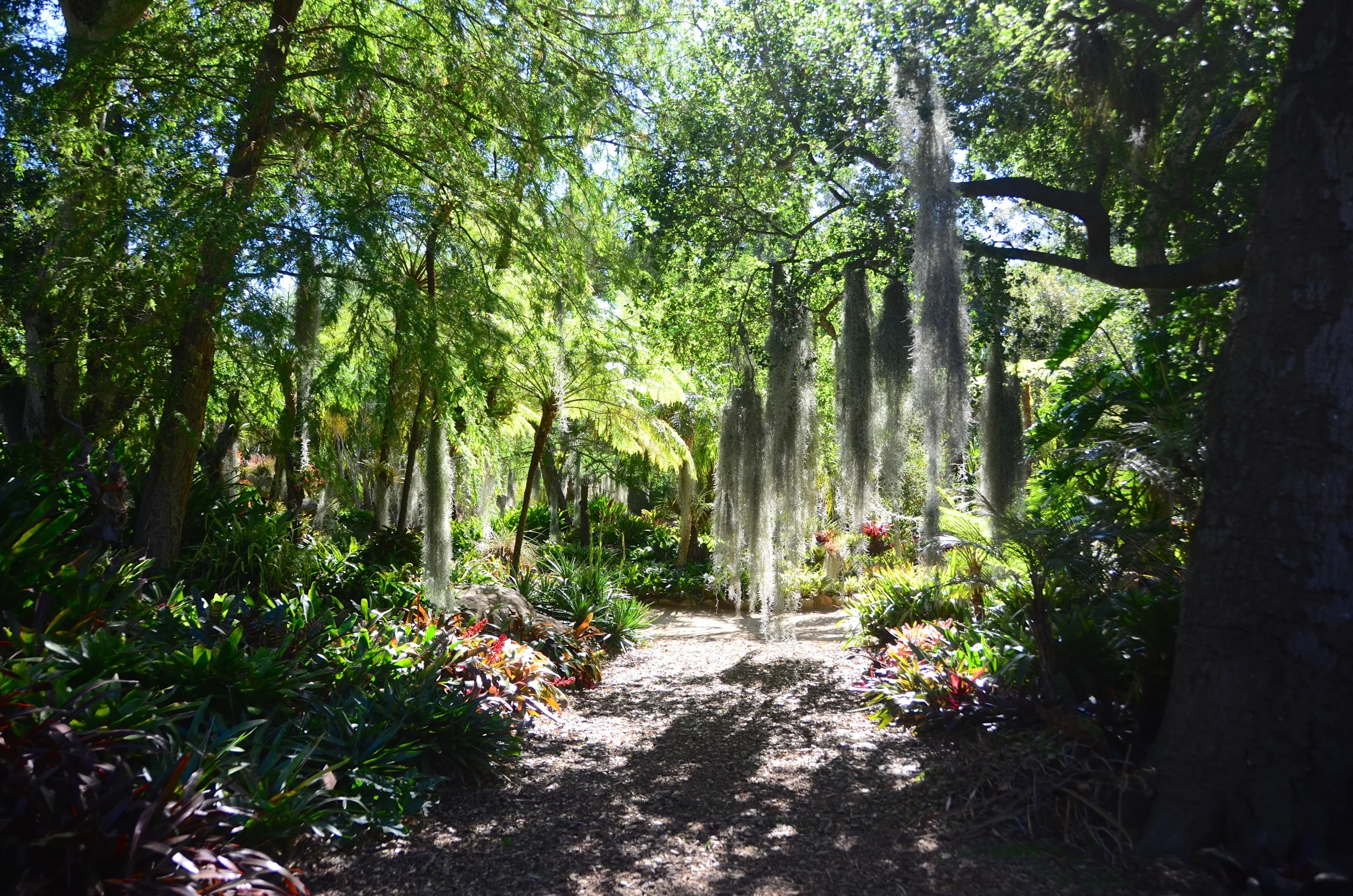 Escaping to Lotusland: Santa Barbara's Magical Garden — The City Sidewalks