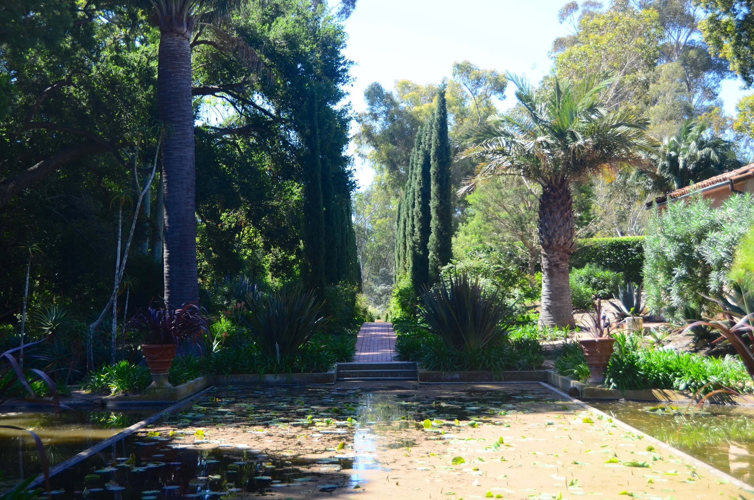 Escaping to Lotusland: Santa Barbara's Magical Garden — The City Sidewalks