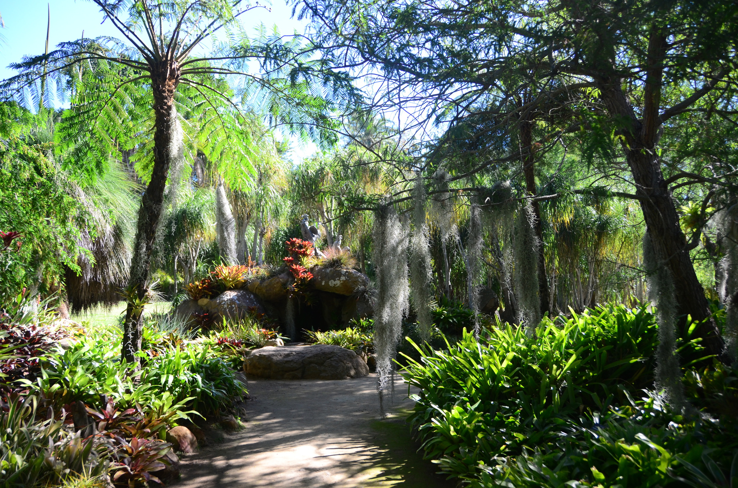 Escaping to Lotusland: Santa Barbara's Magical Garden — The City Sidewalks