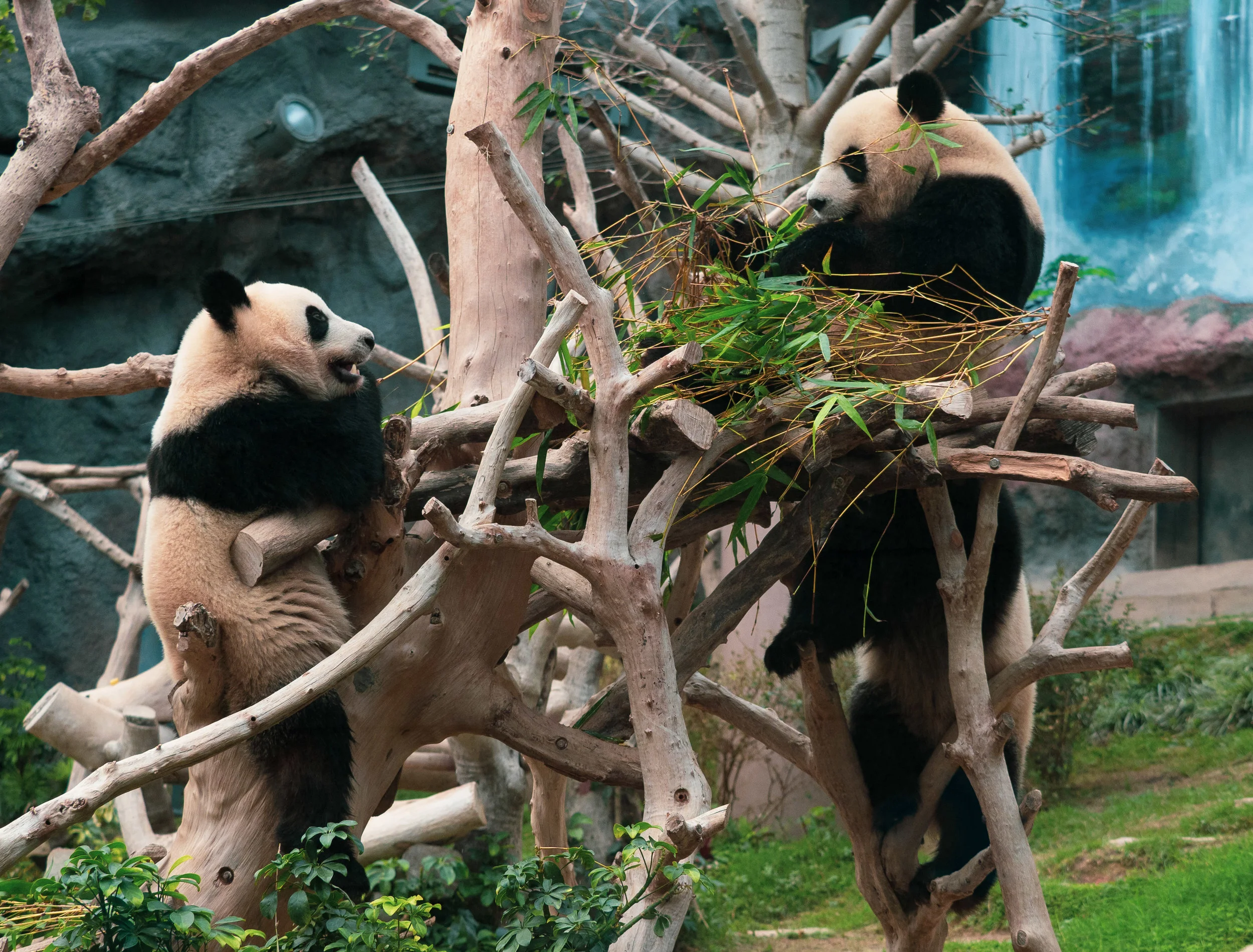 Macau - The Las Vegas of Asia, but not only — Florian Kriechbaumer