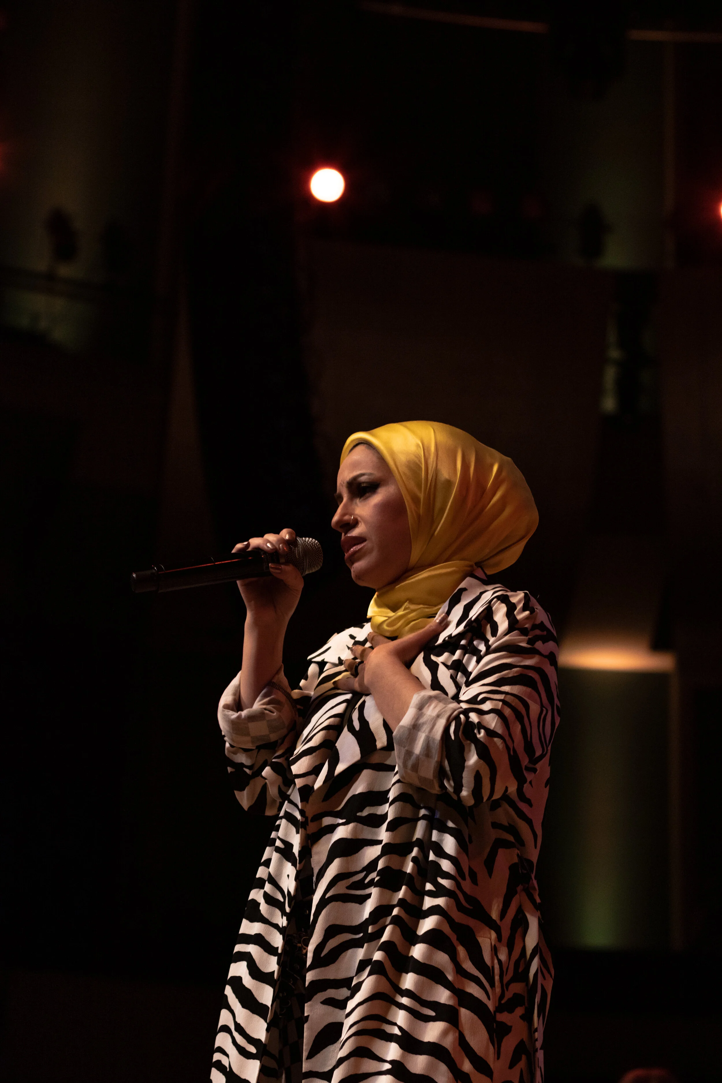 Featured Artists — The Mosquers Film Festival