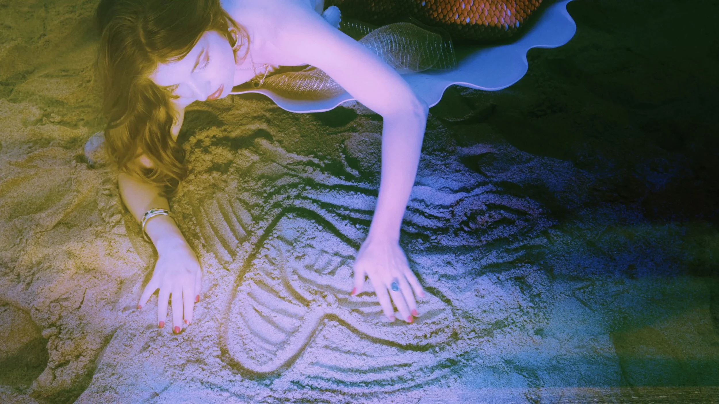 Cinematography — priscilla mars