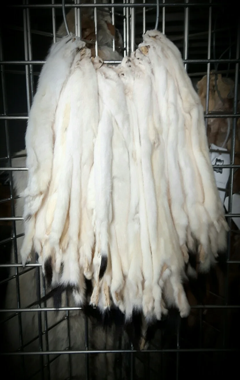 Retail Fur Pelts — Natural Canadian Fur Products