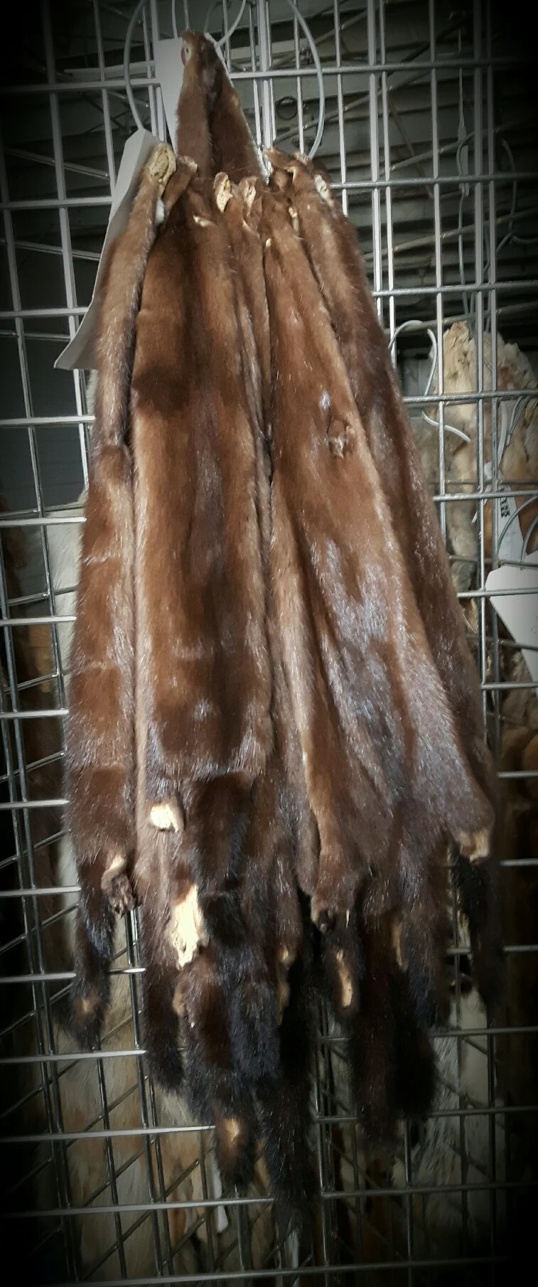 Retail Fur Pelts — Natural Canadian Fur Products