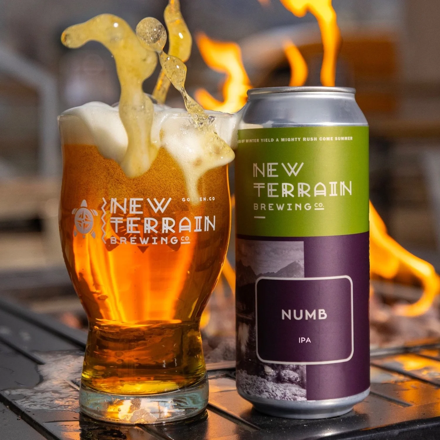 Beer Menu — New Terrain Brewing Company in Golden, CO