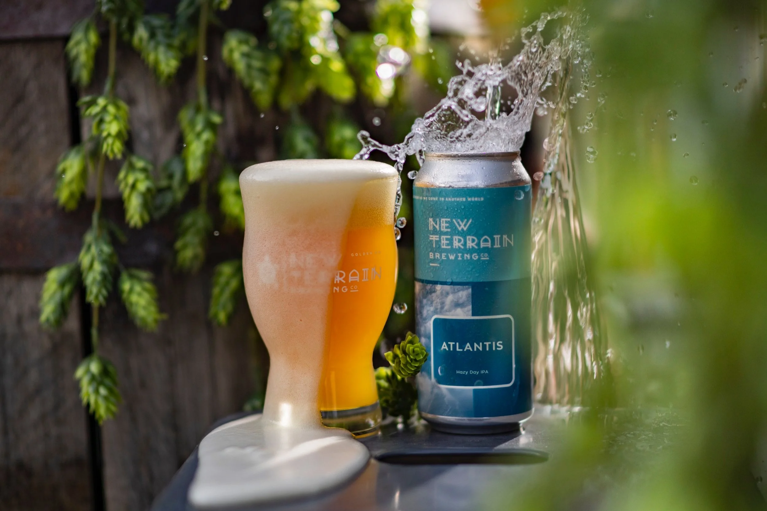 Our Beers — New Terrain Brewing Company in Golden, CO