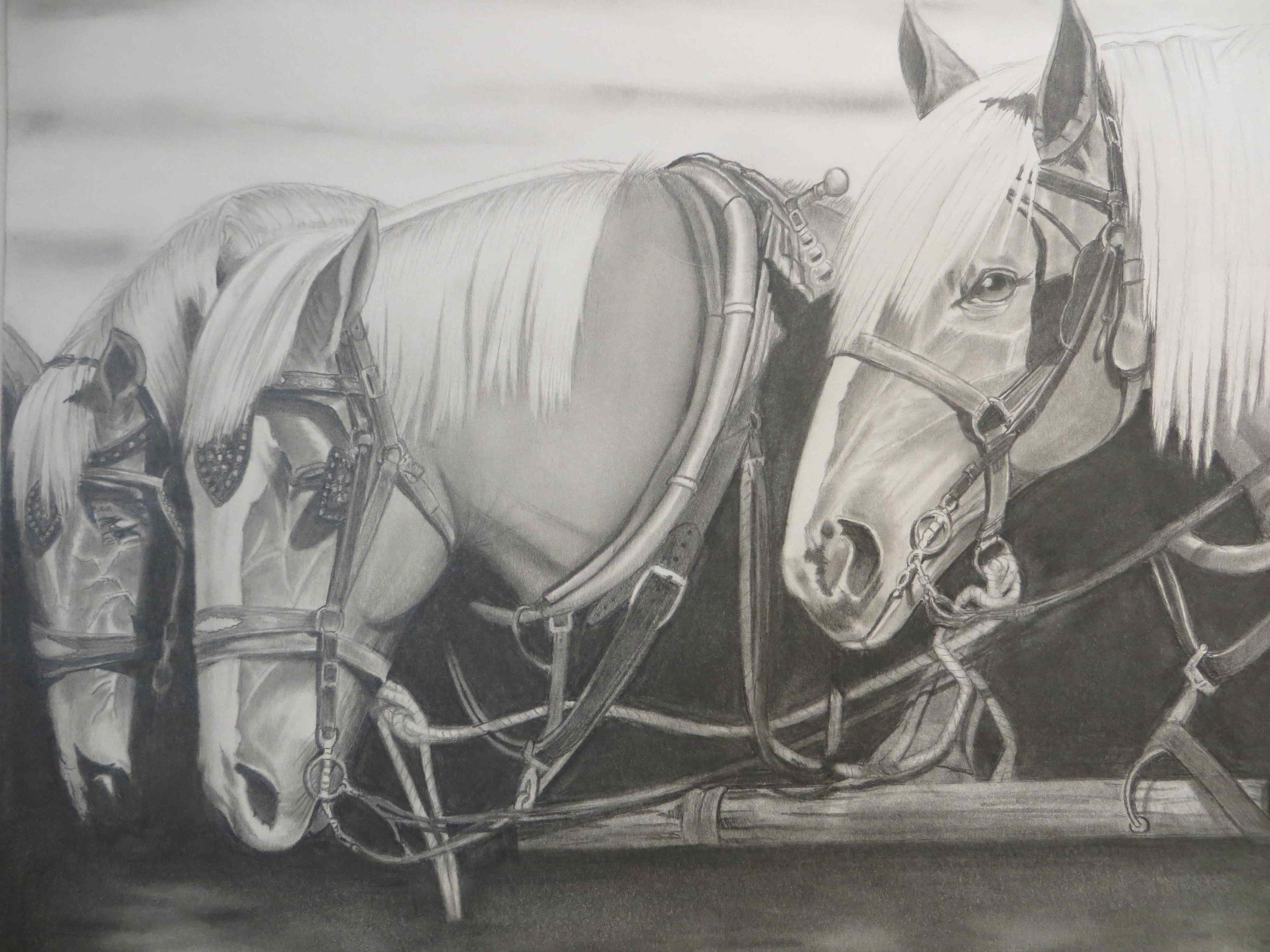 Two Horses In Love Drawing