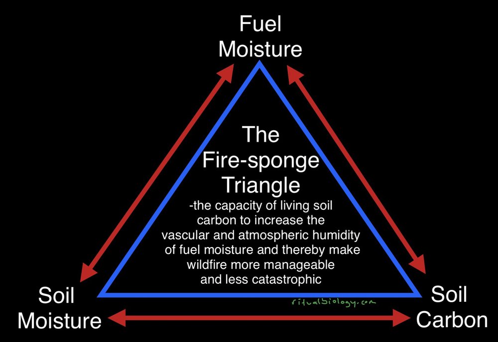 The Fire-sponge Triangle and the Four Principles of ‘Good Fire ...