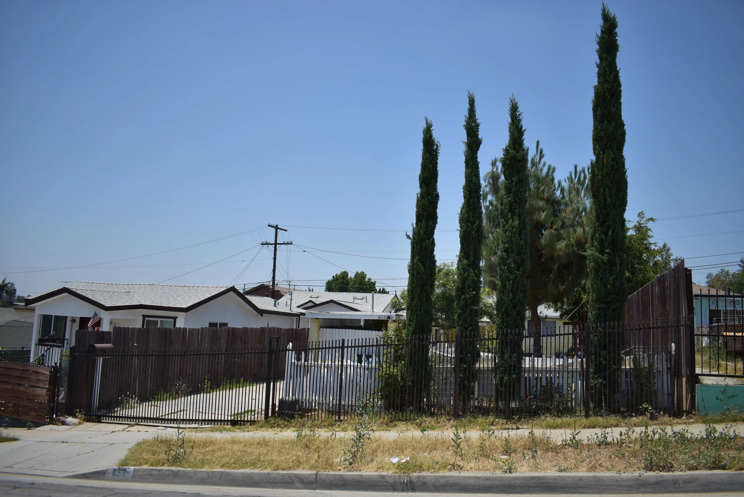 Walter Castillo & Associates