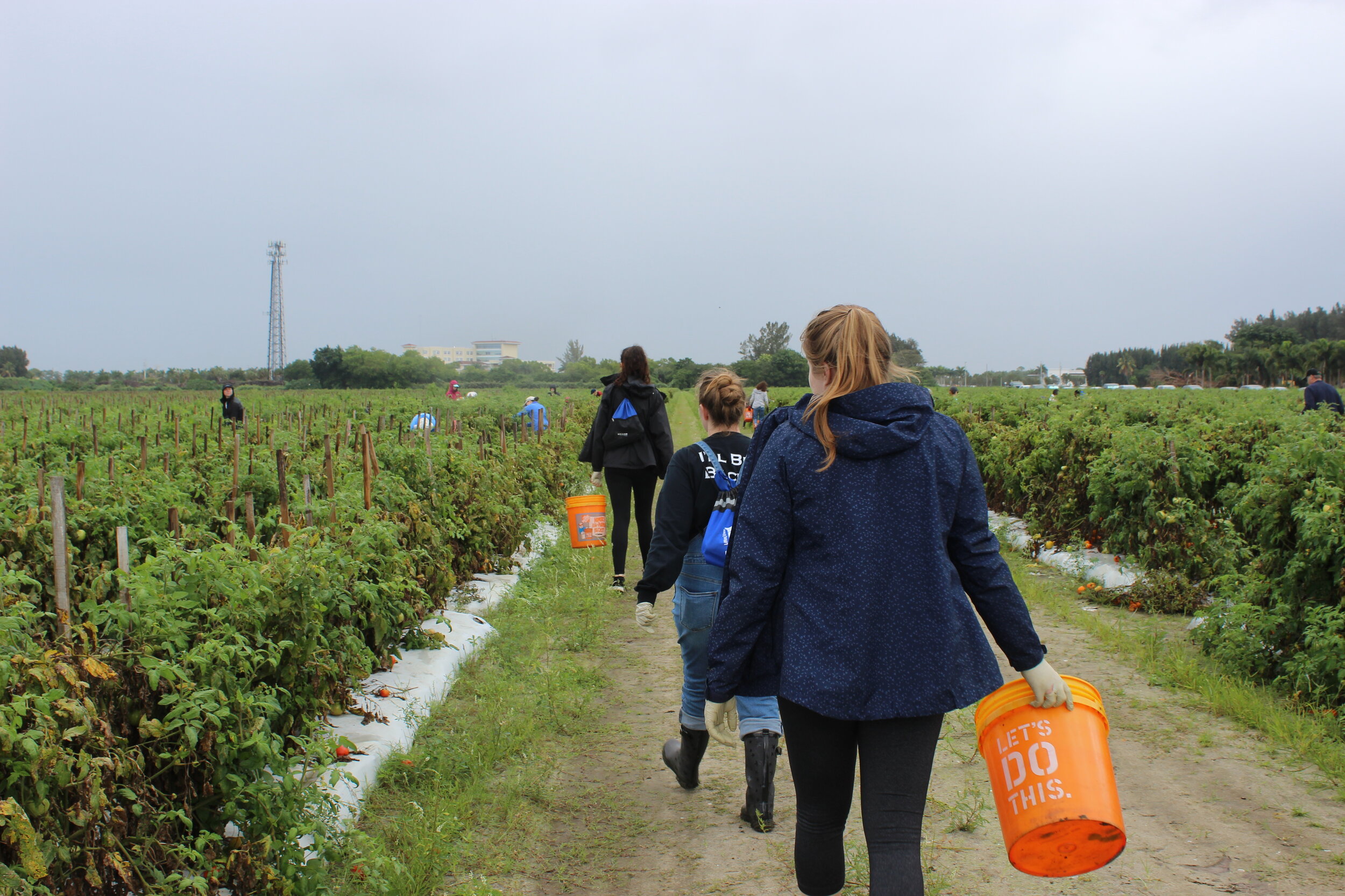 Gleaning — Food Recovery Network