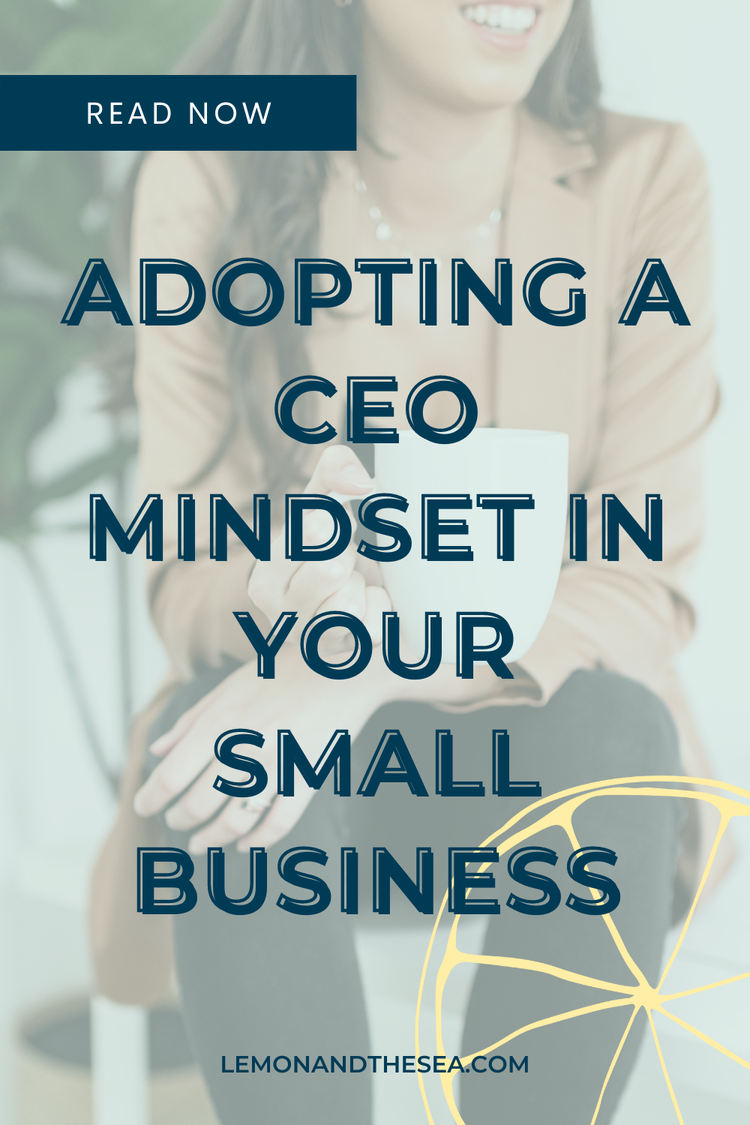 Adopting a CEO Mindset in Your Small Business