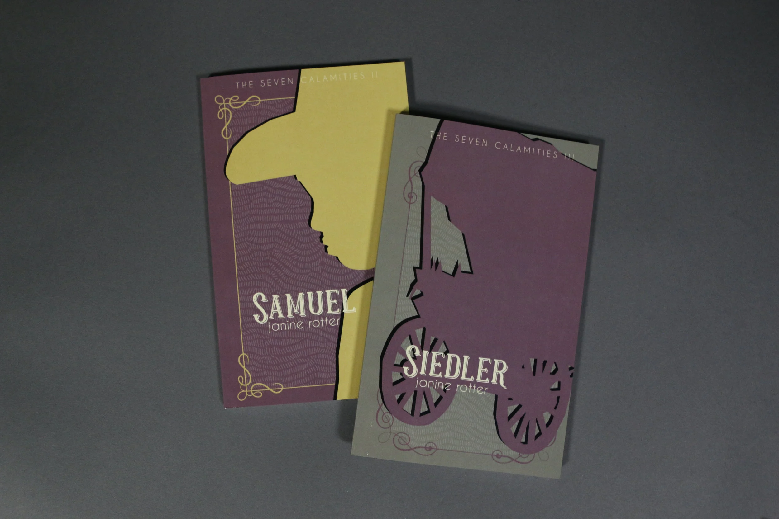 The Seven Calamities Book Series — Janine Sulzer