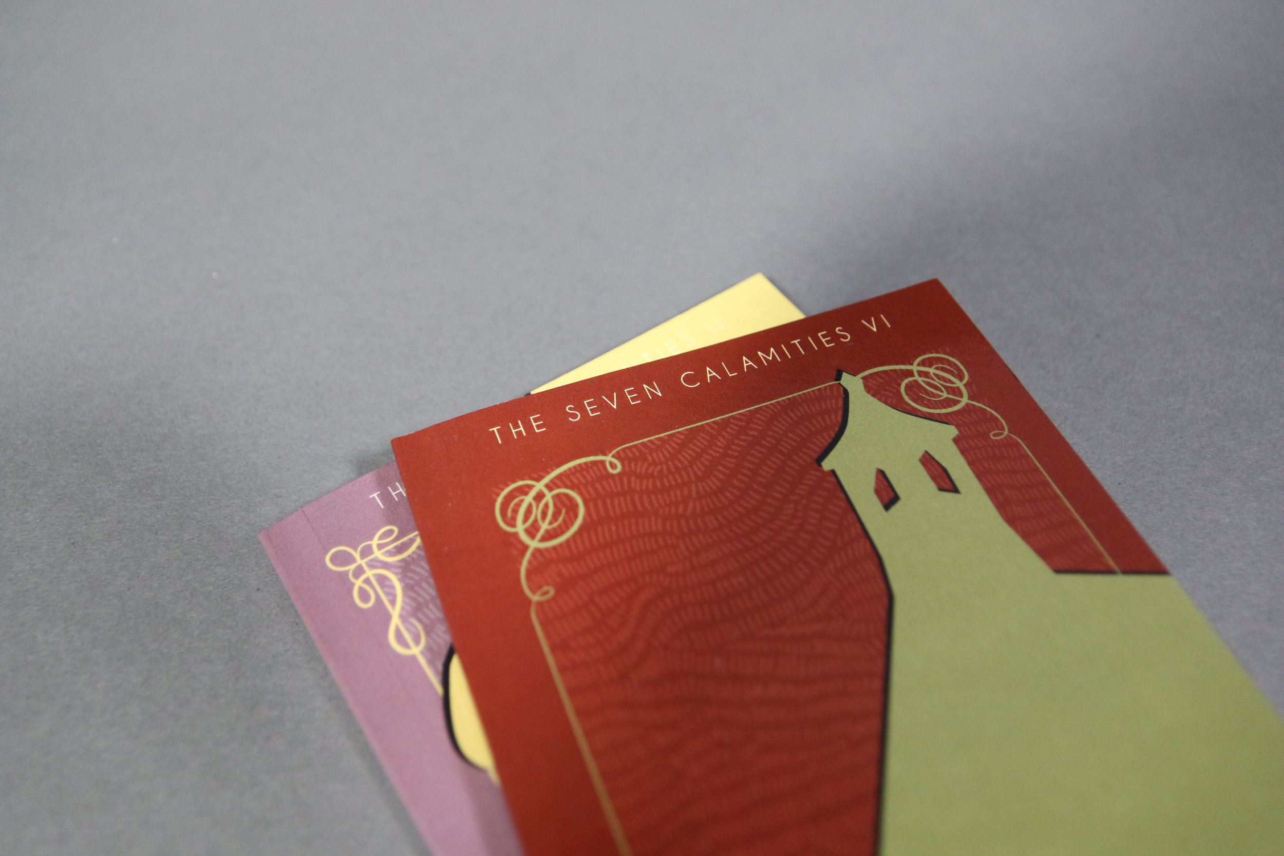 The Seven Calamities Book Series — Janine Sulzer