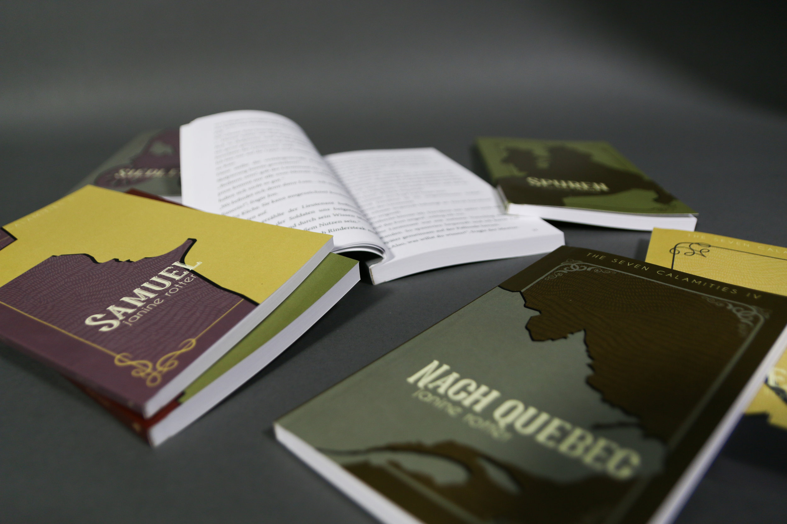 The Seven Calamities Book Series — Janine Sulzer