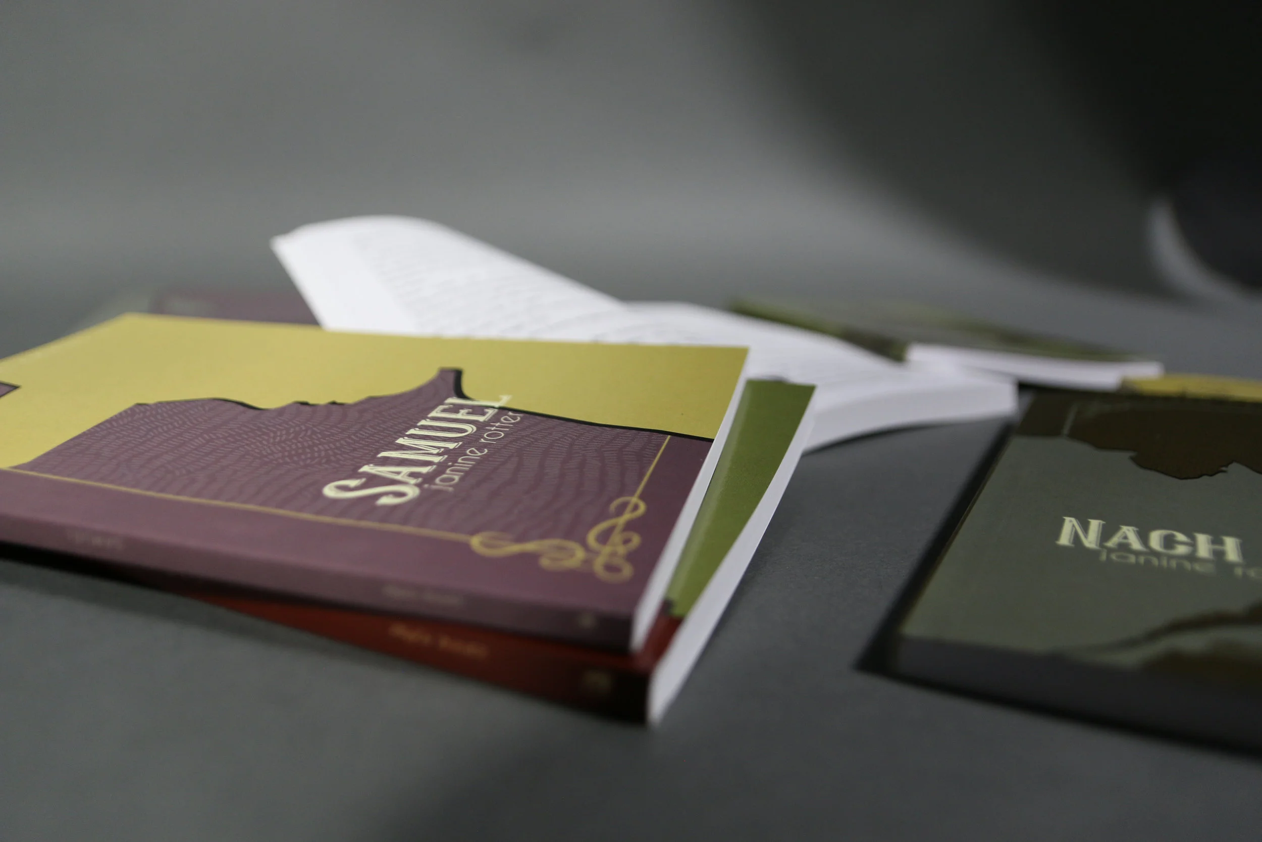 The Seven Calamities Book Series — Janine Sulzer