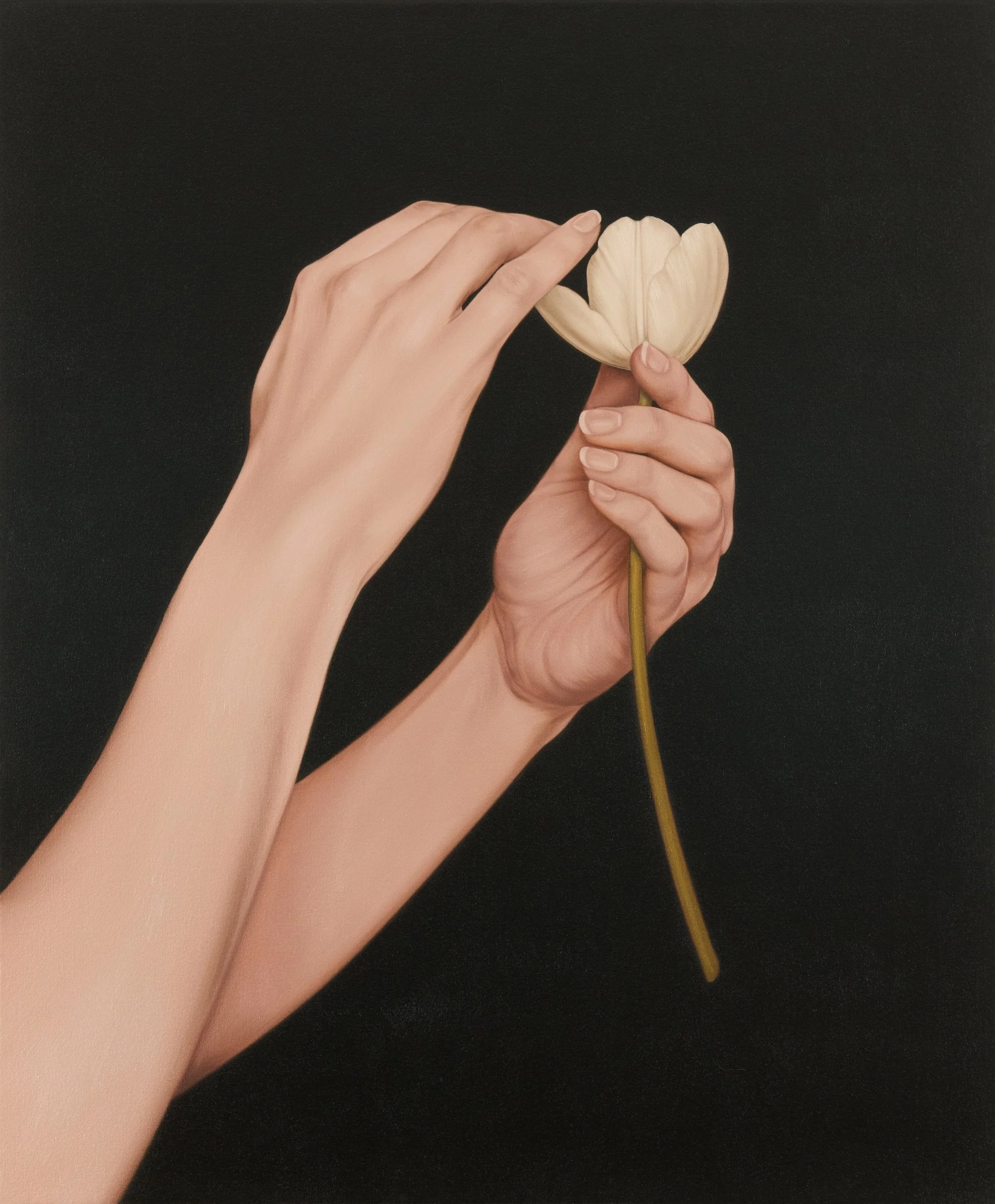 MEGHANN STEPHENSON