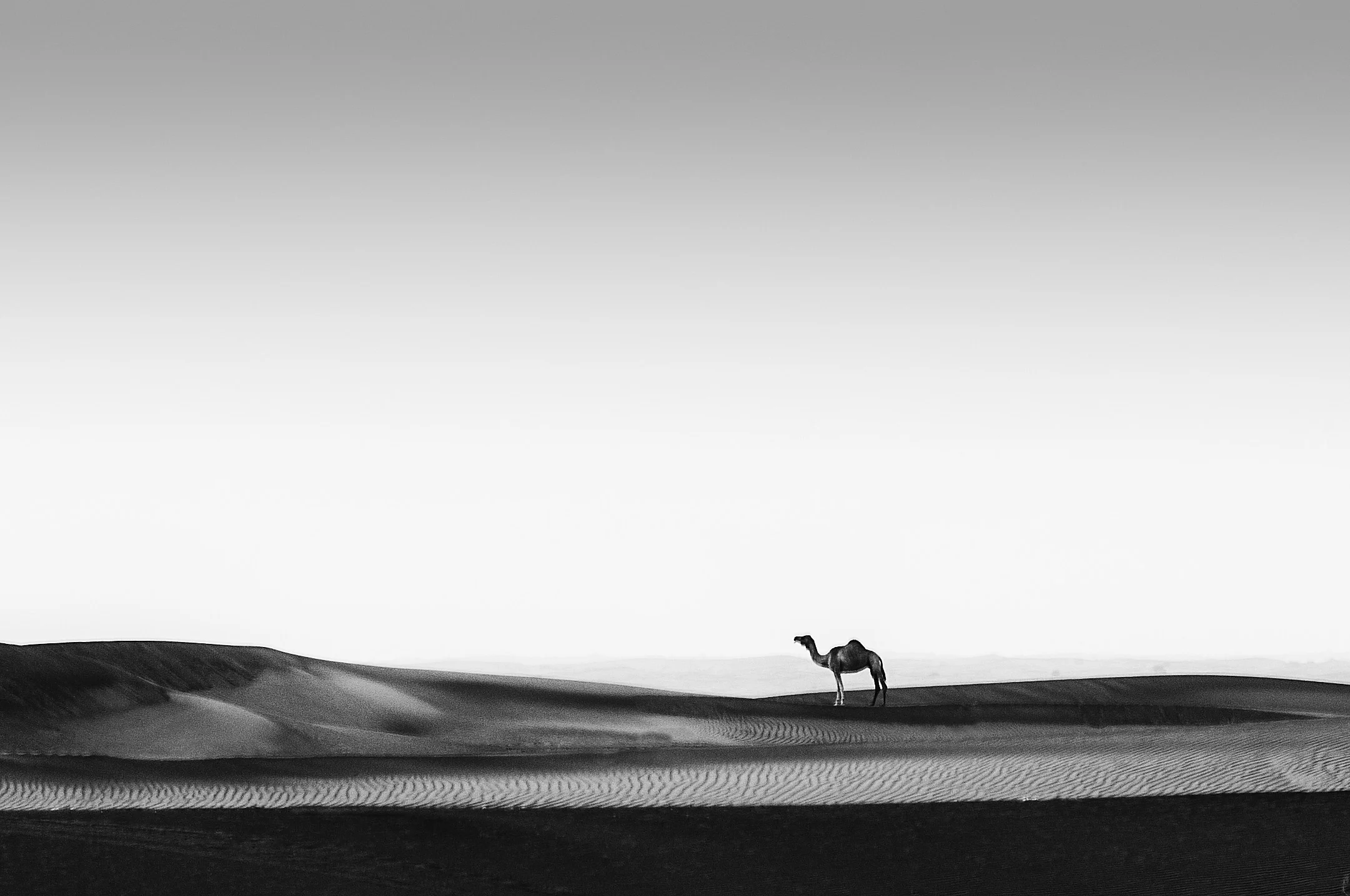 Travel — Scott Kelby Photography