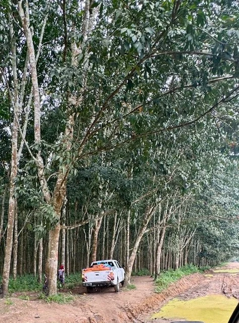 SCAW Blog: Cameroon, 2024: November 15 — Sleeping Children Around the World