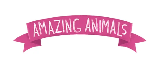 Amazing Animals — Rob McClurkan Illustration