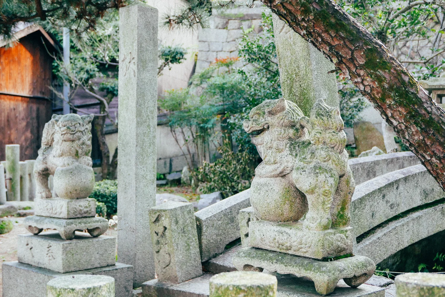 Scenes From: A Temple Walk in Onomichi — Nomad in Nihon
