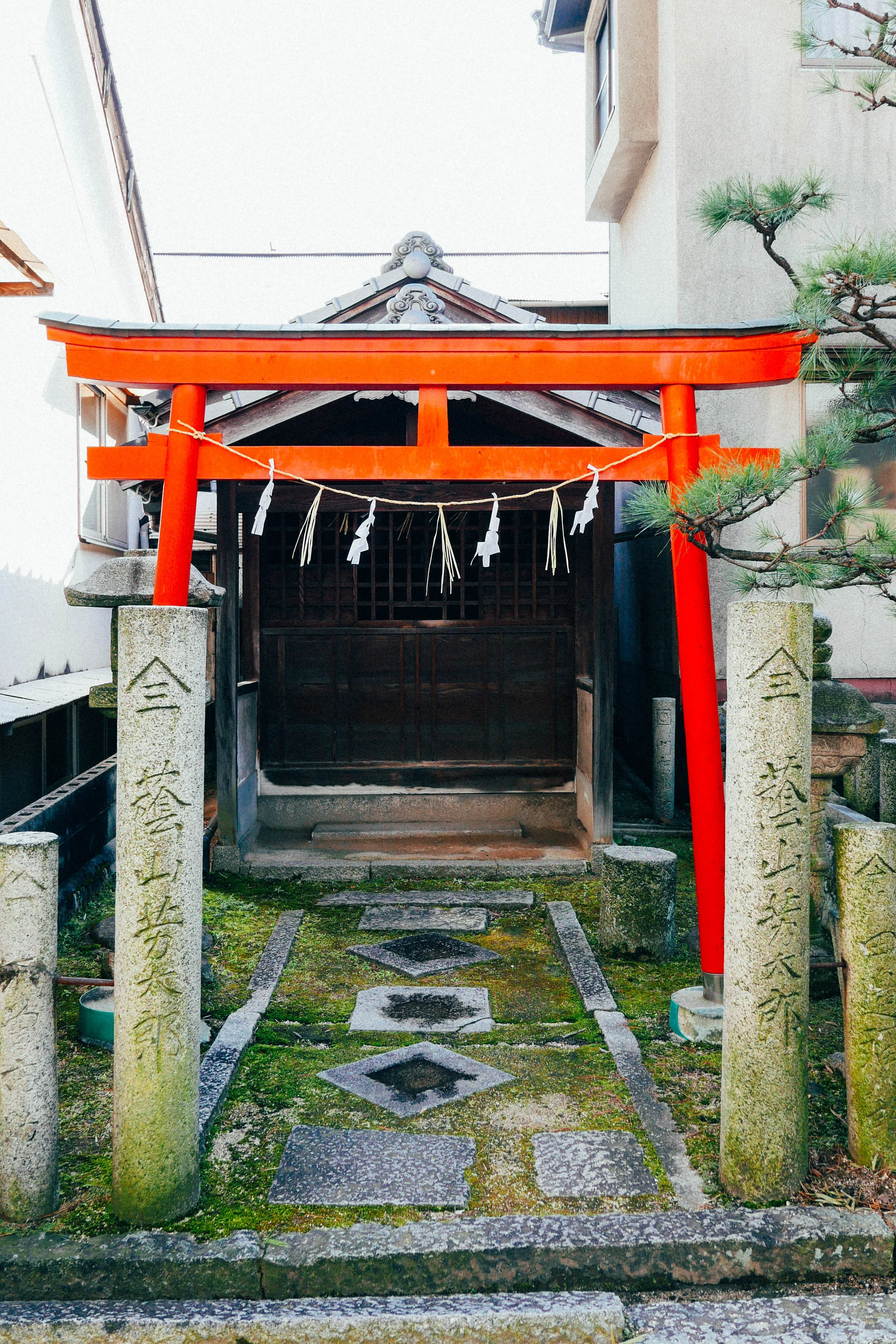 Scenes From: A Temple Walk in Onomichi — Nomad in Nihon