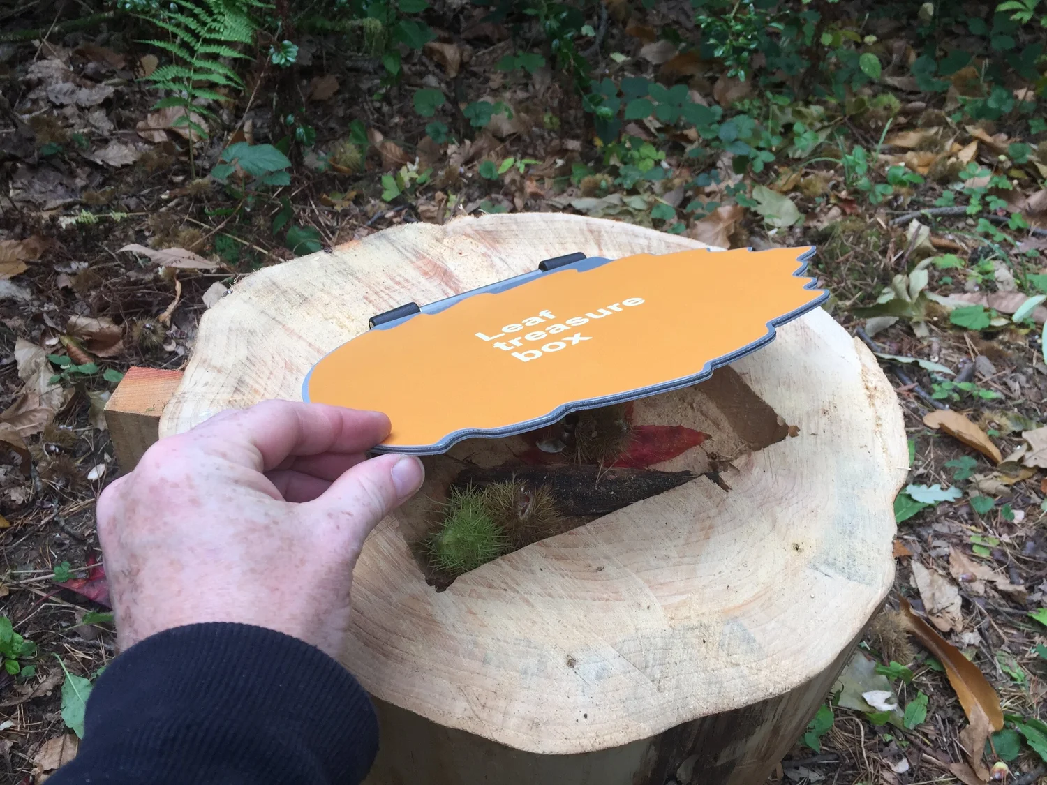 INTERPRETATION TOOLS SLIDESHOW — Outside Studios