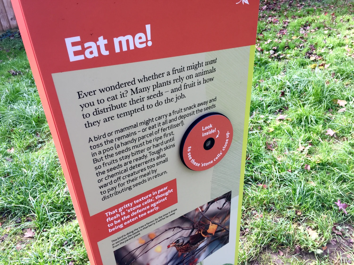 INTERPRETATION TOOLS SLIDESHOW — Outside Studios