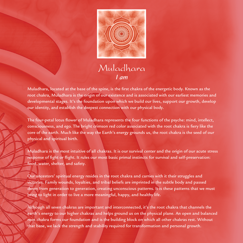 Root Chakra Lotus Flower | Best Flower Site