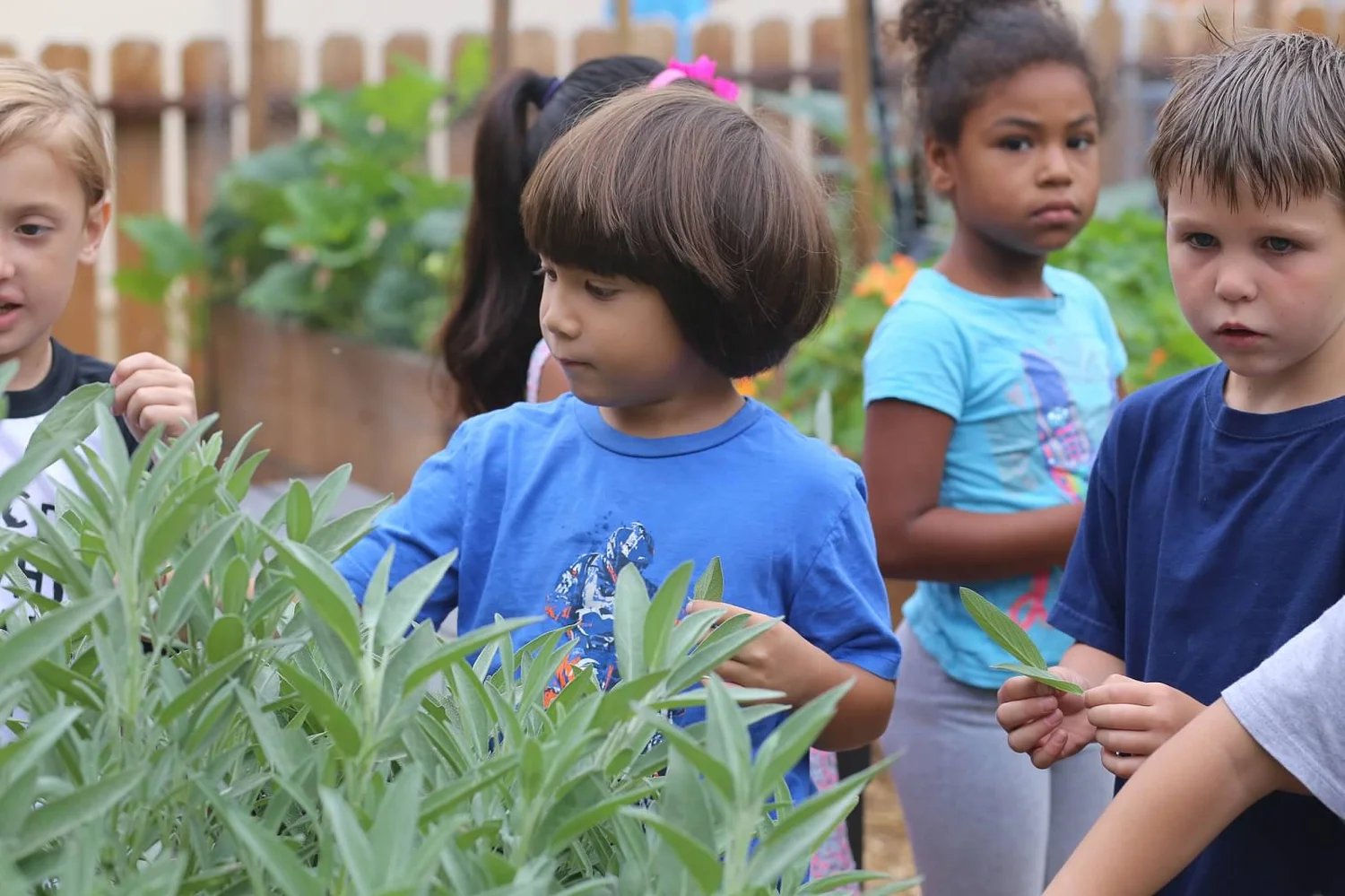 Valley View Elementary PTA