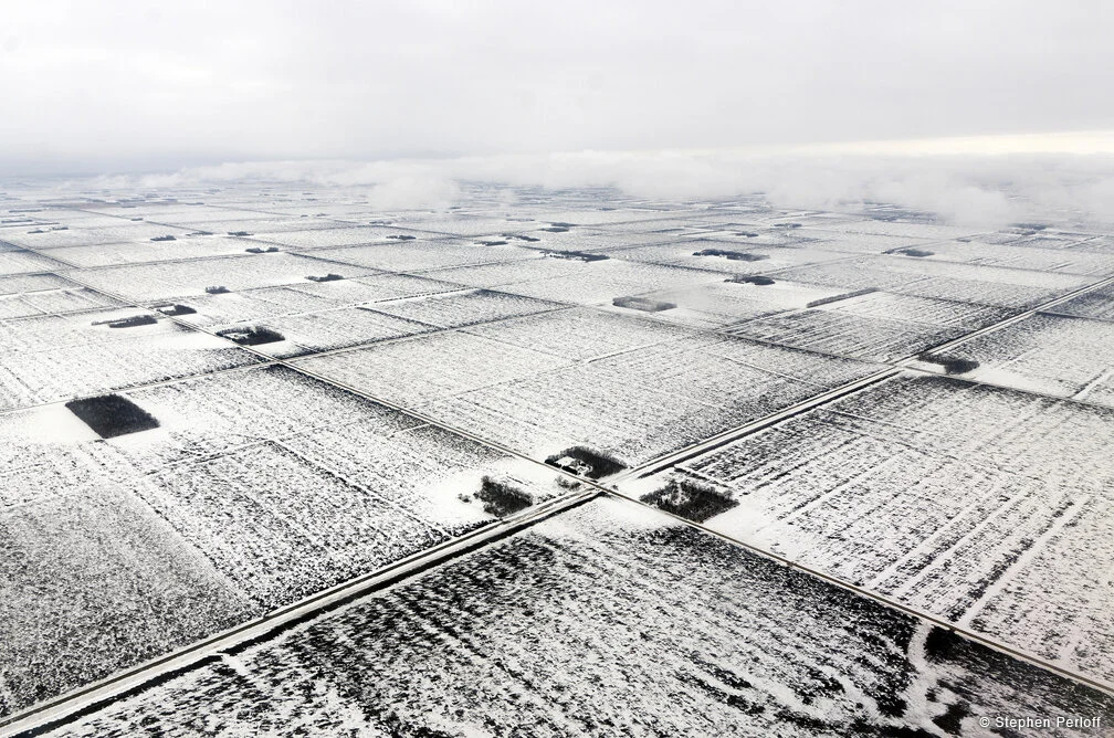 a - Unframed 2021Alex Ferrone Gallery